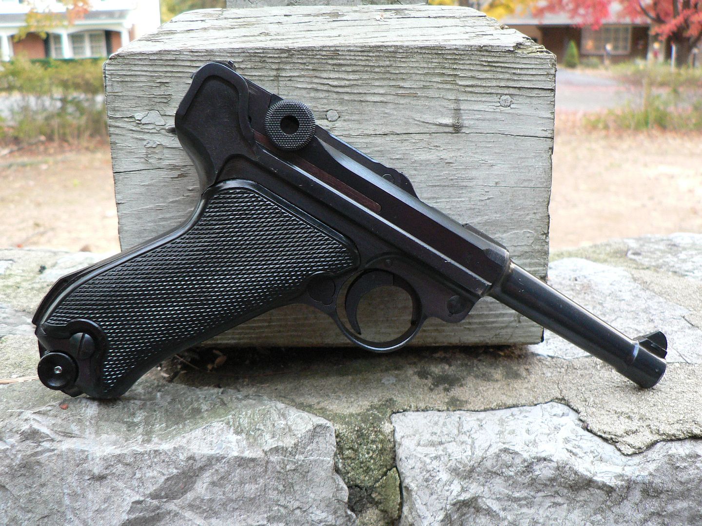 Vopo Luger | Gunboards Forums